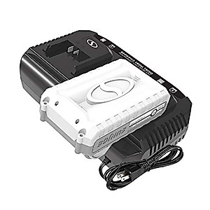 Snow Joe 24VCHRG-DPC 24V iON+ Dual Port Quick Charge Docking Station, Charger, Black