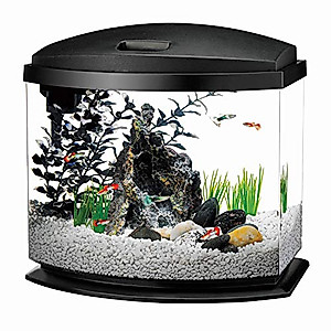 Aqueon LED Minibow Aquarium Starter Kit with LED Lighting, 5 Gallon, Black