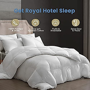 Hotel Collection Feathers & Down Comforter | Full/Queen Bed All Season Duvet Insert | 750 Fill Power Ultra-Soft 500TC Egyptian Cotton-Blend Quilted with Tabs (90x90, Solid White)