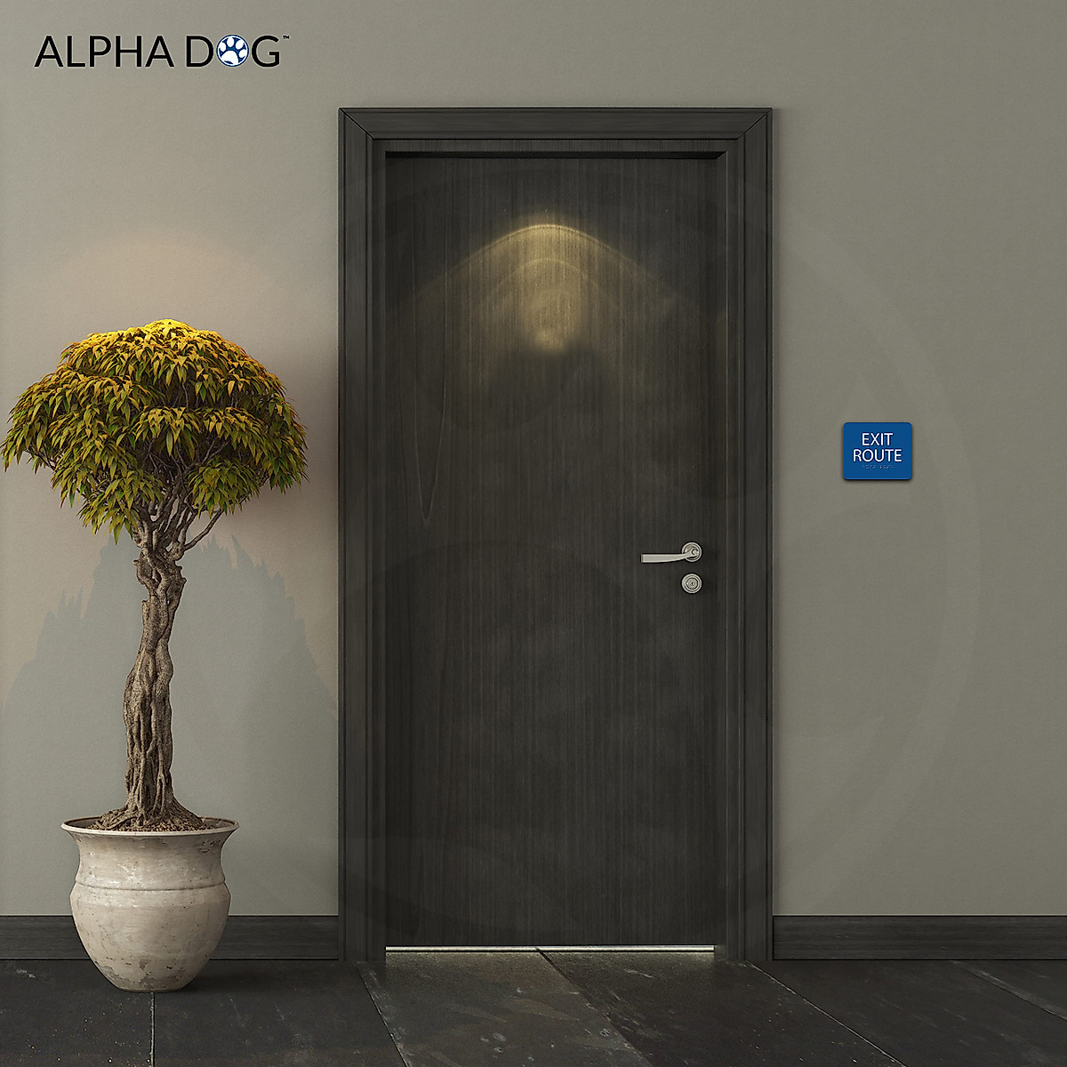 ALPHA DOG ADA SIGNS - Exit Route Sign with Braille for Your Business, 5x6 Inch, ADA Compliant, Indoor or Outdoor, Easy Installation, Made in the USA, Blue