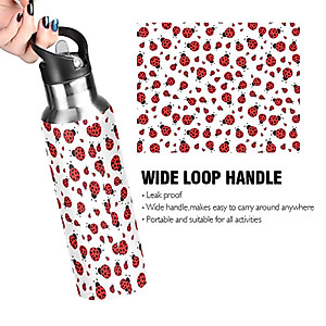 Ladybugs Pattern Insulated Water Bottle with Straw, Stainless Steel Sports Water Bottles, Double Wall Vacuum, Leakproof, BPA-Free 20 oz
