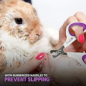 Cat Nail Clipper, Dog Nail Trimmers – Pet Claw Scissors for Cats, Dogs, Rabbits & Small Animals – Sharp Stainless Steel Professional Grooming Tool - Gentle Yet Effective