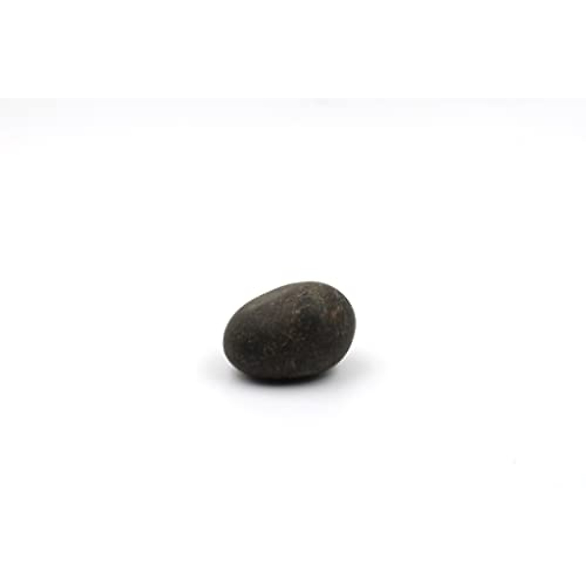 WW Will and Weaves Shaligram Shila Natural Stone Laxmi Narayan Abhimantrit Shree Shaligram