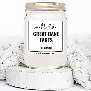 YouNique Designs Smells Like Great Dane Farts Candle 8 oz - Great Dane Gifts for Great Dane Lovers - Great Dane Gifts for Owners Dog Farts Candle - Funny Great Dane Mom Gifts (Lavender & Vanilla)