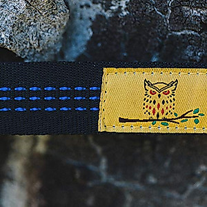 Wise Owl Outfitters Talon Hammock Straps - Combined 20 Ft Long, 38 Loops W/ 2 Carabiners - Easily Adjustable, Tree Friendly Must Have Gear for Camping Hammocks Like Eno Blue Stitching