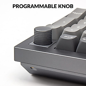 Keychron Q5 Wired Custom Mechanical Keyboard Knob Version, 96% Layout QMK/VIA Programmable Macro with Hot-swappable Gateron G Pro Brown Switch Double Gasket Compatible with Mac Windows Linux (Grey)
