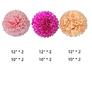 Pink Paper Pom Poms,10",12" Tissue Pom Poms for Bachelorette Baby Shower Girl Party Hanging Decorations - 12 PCS