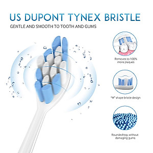 Phniti Electric Sonic Toothbrush Replacement Heads for Model PH-B06,PH-P06