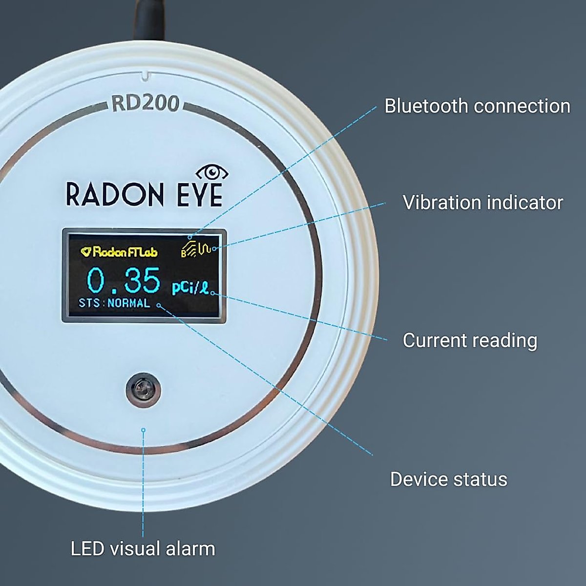 Ecosense RD200 RadonEye, Home Radon Detector, Fast Capture of Fluctuating Levels, Short & Long-Term Continuous Monitoring with Trend Charts