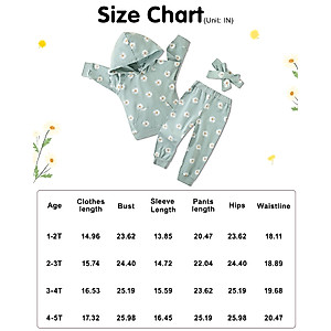 WESIDOM 3T Girl Clothes Fall Cute Toddler Baby Girls Outfits 3 Year Old Winter Sweatsuits for Girls Trendy Sweatshirt Pants Sets Hoodie Sweater