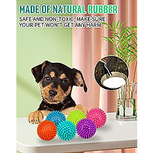 2.5" Squeaky Dog Balls for Small Medium Dogs, 6 Pack Small Dog Chew Toys with Spike, Puppy Toys for Teeth Cleaning and Training