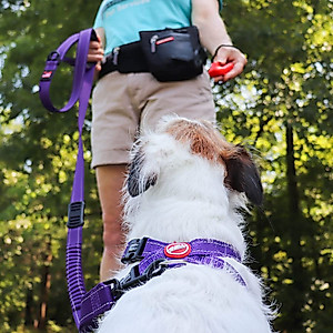 EzyDog Command Clicker Ergonomic Dog Training Tool with Wrist Strap - Hands Free & Universal Fitting System for Fingers Trains Effectively & Humanely with Positive Reinforcement (Black)