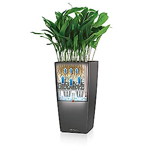 Lechuza Cubico Premium 30 - All-In-One, Scarlet