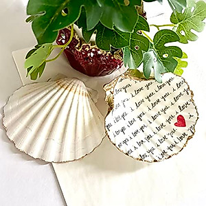 Nafiart Studio Love Trinket Dish - Natural Shell Jewelry Tray Organizer, Ring Holder - Home Decor - Gifts for Valentines Girlfriend Women Girl Gifts Present Birthday Red Heart Gift Box