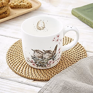 Royal Worcester Wrendale Designs Feather Your Nest Mug | 14 Ounce Large Coffee Mug with Bird Design | Made from Fine Bone China | Microwave and Dishwasher Safe