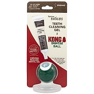 TropiClean Enticers Kong Dental Ball Kit for Medium Dogs | Teeth Cleaning Gel | Smoked Beef Brisket Flavor | 1 oz.