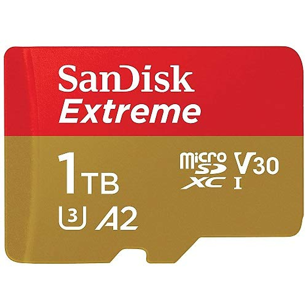 SanDisk Extreme 1TB Memory Card for GoPro Action Camera Hero 11 Black and Hero11 Black Mini (SDSQXAV-1T00-GN6MN) V30 A2 UHS-I U3 Class 10 Bundle with 1 Everything But Stromboli MicroSDXC Card Reader