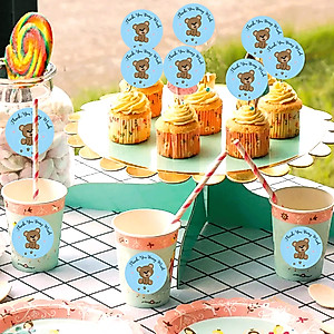 Blue Tedd Bear Stickers 2" Thank You Beary Much Labels-250 Pcs Teddy Bear Thank You Sticker Labels Boy Baby Shower Favors Labels Birthday Party Favor Labels with Balloon for Gift Bags Seal Sticker
