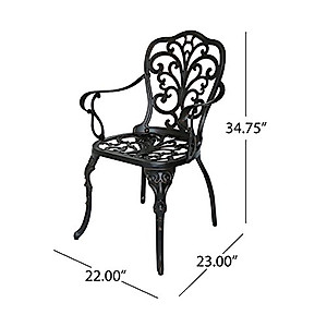 Christopher Knight Home Buddy Outdoor Cast Aluminum Dining Chair (Set of 2), Shiny Copper