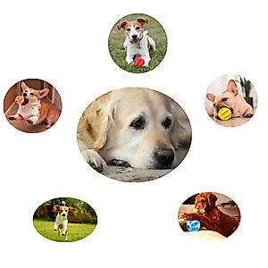 Sunglow 2 Pack Dog Toy Ball,Nontoxic Bite Resistant Teething Toys Balls for Small/Medium/Large Dog and Puppy Cat, Dog Pet Food Treat Feeder Chew Tooth Cleaning Ball Exercise Game IQ Training Ball