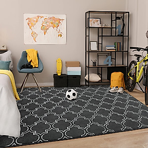 Chicrug Shag Geometric Modern Area Rug for Bedroom, 4x6 Feet Memory Foam Indoor Carpet, Fluffy Rug for Living room Bedside Room Decor for Family Girls Kids Nursery Play Mat, Dark Grey/White