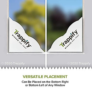 Trappify Sticky Fly Traps for Home Pest Control - Fly, Gnats and Other Flying Insects Killer with Extra Sticky Adhesive Disposable Fly and Bug Catcher - 24 Traps