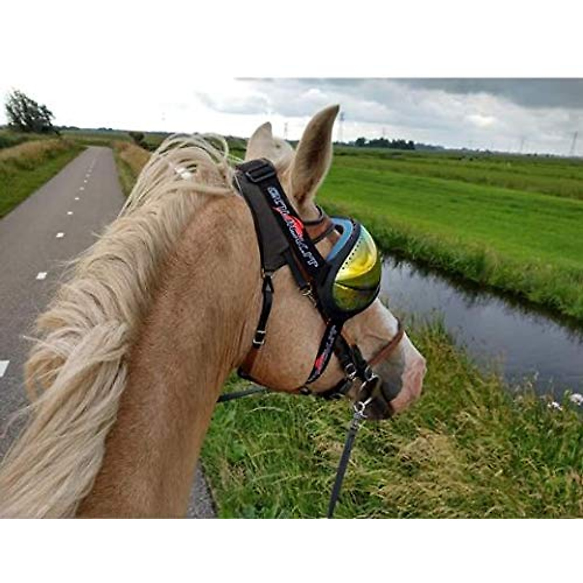 eVysor UV Protection Horse Riding Goggles by eQuick-it - MIrrored Blue Lenses