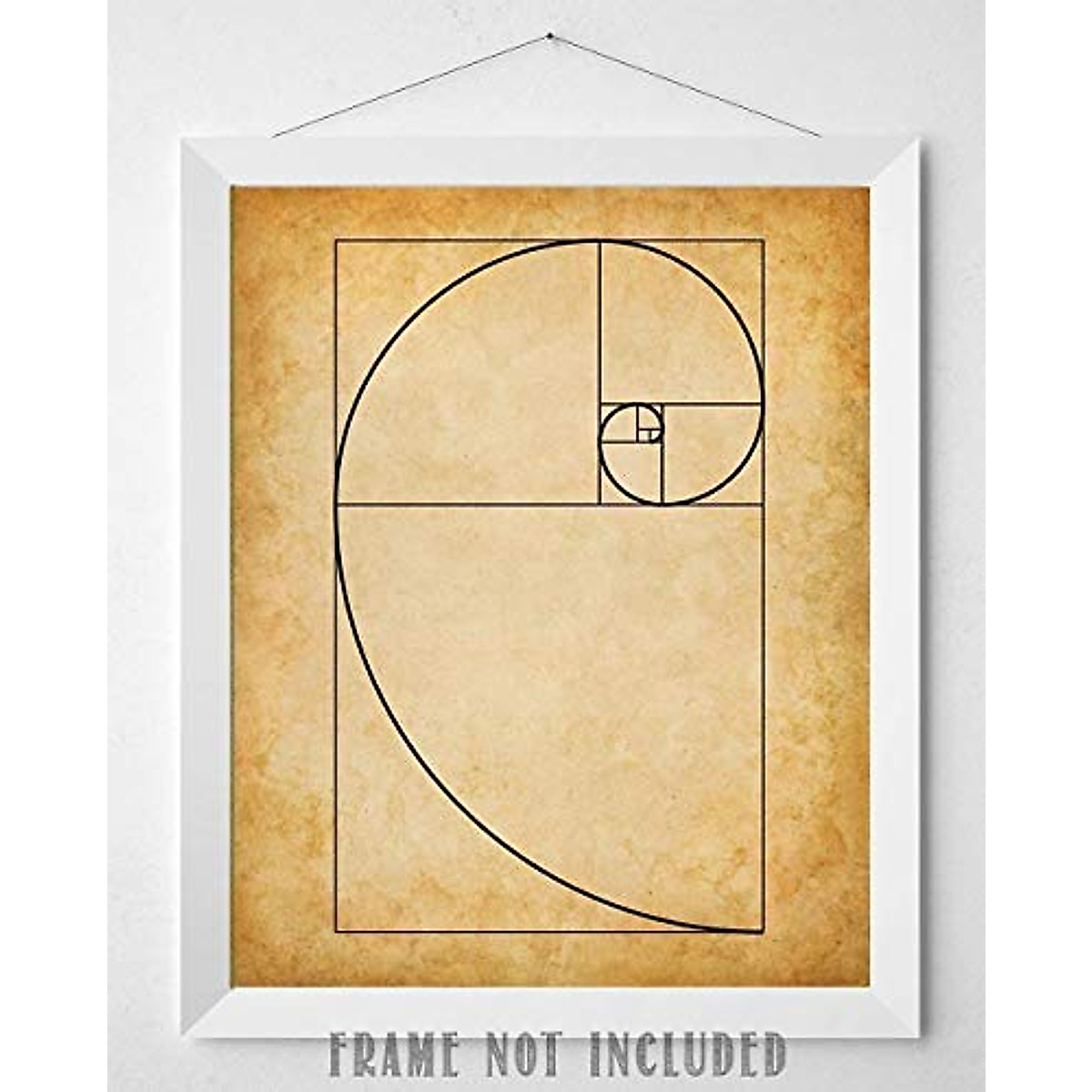 Fibonacci Spiral - 11x14 Unframed Art Print - Makes a Great Gift Under $15 for Artists