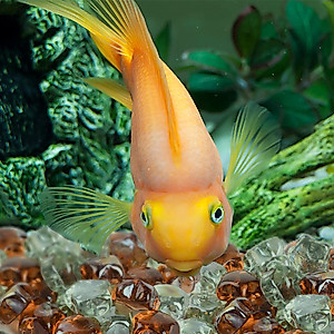 LUEYAO Star Glass Vase Filler Decorative Stars Shape Premium Glass Beads for Vases Gems Aquarium Pebbles Decorative Table Scatter Decor 1.3 LB 40 PCS