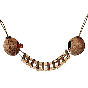 Coconut Bird Nest with Ladder for Parrots Parakeet Conures Lovebird Cockatiel Finch Canary, Small Animals Hideaway Hut, Coconut Shell Bird Cage Toy, Natural Coconut Squirrel House Hanging Loop