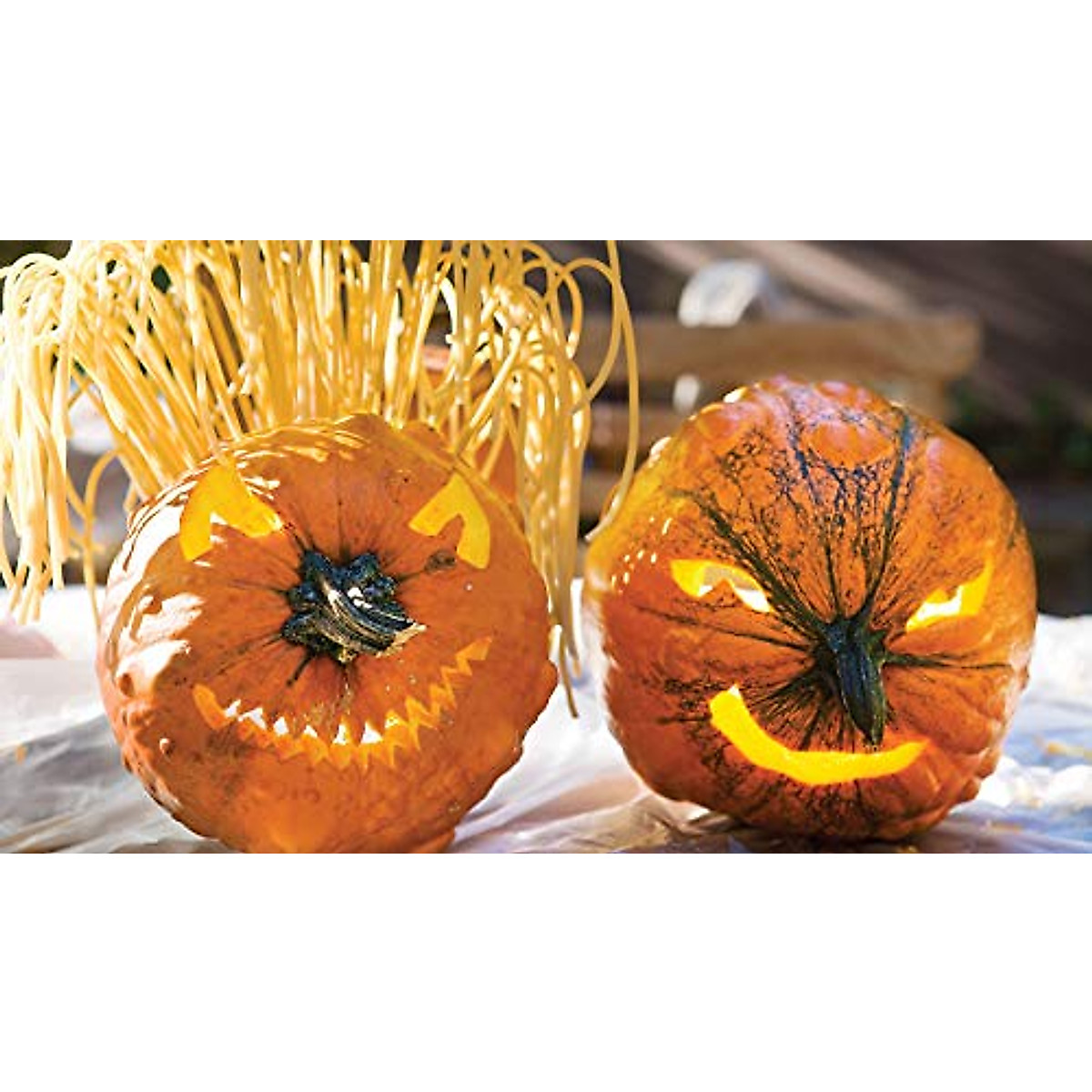 MIXED SEEDS! 50+ Pumpkin and Winter Squash MIX Seeds NON-GMO 25 Varieties Delicious Grown in USA. Rare, Super Profilic and Delicious HARLEY SEEDS