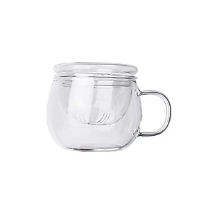 HOVOL Tea Mug with Infuser and Lid - 13.5oz Heat Resistant Borosilicate Glass, Clear Teacup with Strainer for Loose Leaf Tea, Blooming Tea, and Tea Bags - Ideal for Tea Lovers
