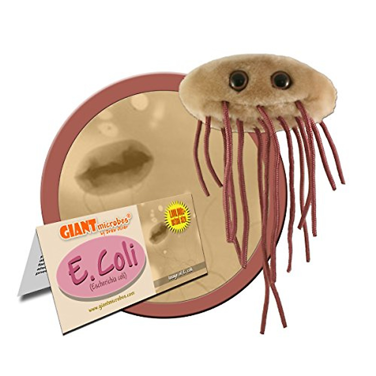 GIANTmicrobes E. Coli Plush – Learn About The Importance of Gut Health and Food Safety with This Unique Fun Gift for Families, Teachers, Chefs, Doctors, Gastroenterologists, Students and Scientists