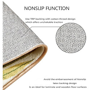 RoomTalks Boho Cute Bathroom Rugs Bath Mat Non Slip Washable, Modern Abstract Geometric Shape with Tropical Leaves 2x3 Small Area Rug for Bedroom Kitchen, Neutral Contemporary Retro Indoor Entry Rug