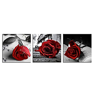 NAN Wind Canvas Print 3 Pcs Black and White Red Rose Canvas Art Painting Abstract Wall Art Decorations Flower Picture on Canvas for Home Decor Stretched and Framed