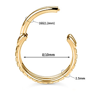 FUNLMO Surgical Steel Hinged Segment Ring CZ Conch Helix Septum Piercing Jewelry Nose Rings Hoops Cartilage Lobe Huggie Earring Small Hoop Earring16G 8mm Gold