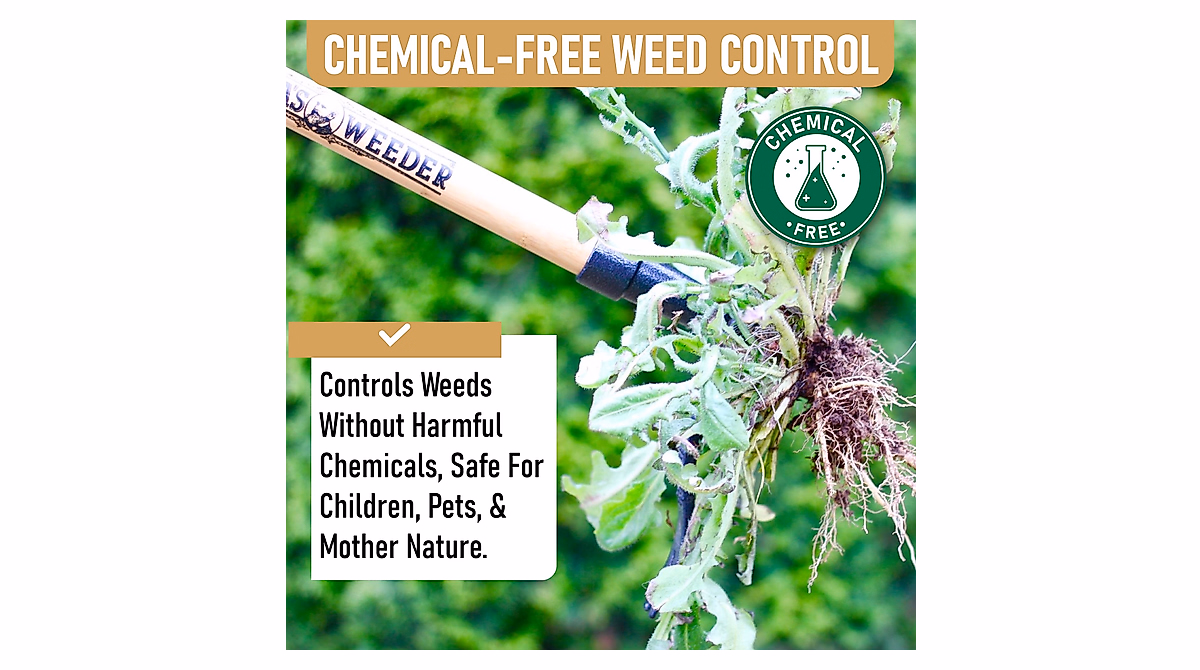 Remove Weeds Easily: Grampa's Stand Up Weed Puller Tool