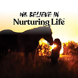 Manna Pro Bite-Size Nuggets for Horses - Pocket Sized Training Horse Treats - Peppermint Flavored Treats - Packs with Vitamins & Minerals- Great Taste Guaranteed - 4lbs