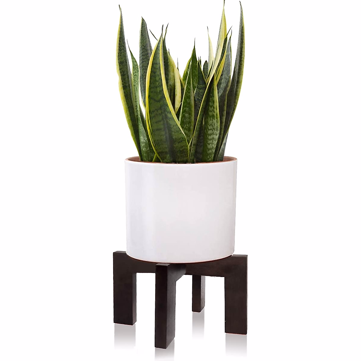 Plant Stand Indoor Outdoor, Mid Century Plant Stand for Indoor Plants, Wood Modern Plant Holder Rattan Flower Plant Stool, Low Short Boho Rustic Planter Stand, Fit 5-15 Inch Pot…