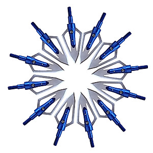 e5e10 Steel Flat Broadheads with 2 Blades 100 Grain Hunting Arrow Tips Screw Thread 0.9" Cut Archery Arrowheads + 1 pcs Black Broadhead Case Plastic Portable Case for Arrowheads (12pcs) (Blue)