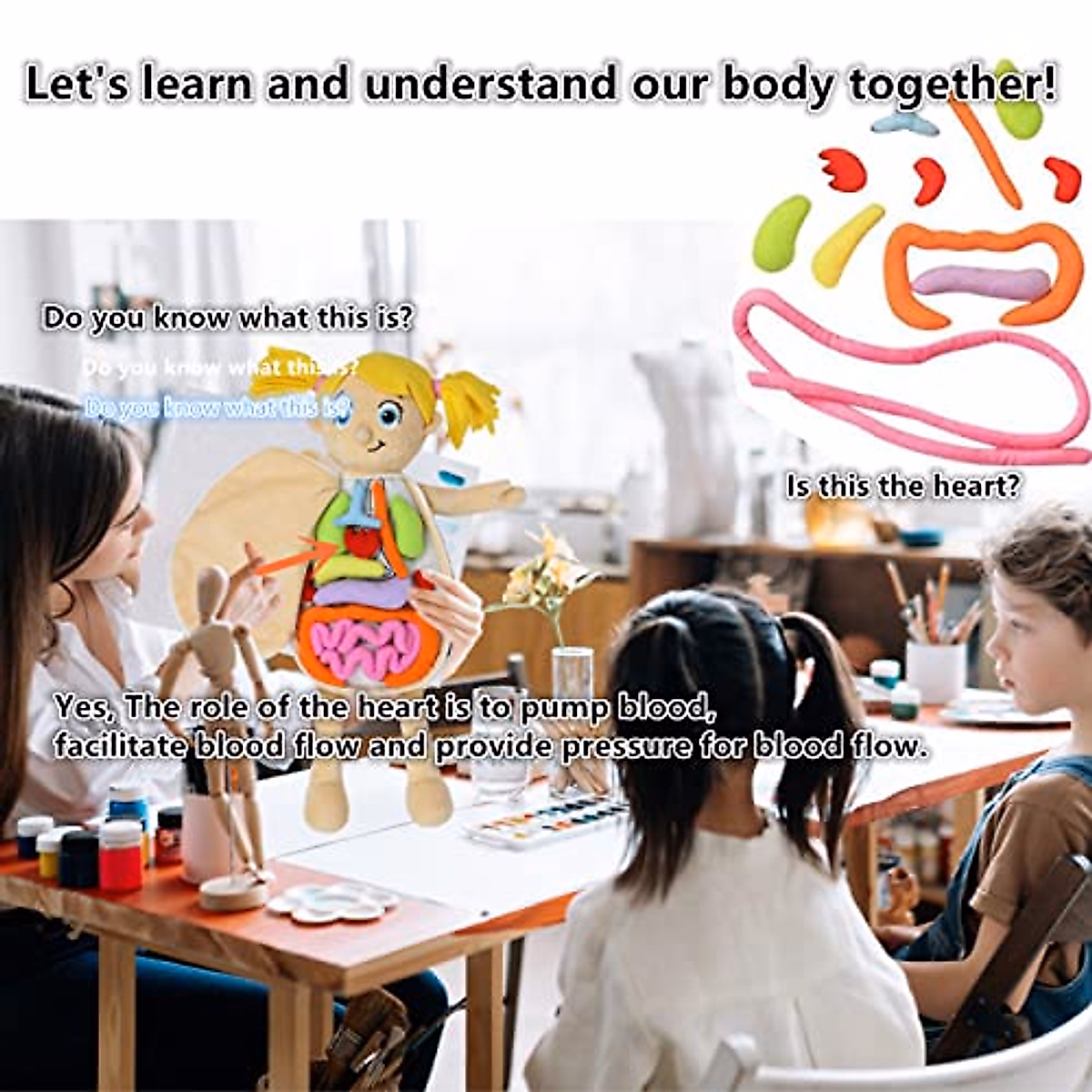 weilishun Human Body Anatomy Toy for Kids -Soft Plush Anatomy Doll, DIY Human Body Model Awareness Teaching Tools & Preschool Science Learning Toy(Pink)