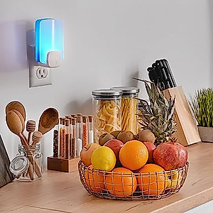Raid Essentials Flying Insect Light Trap Starter Kit, 2 Plug-In Devices + 2 Cartridges, Featuring Light Powered Attraction
