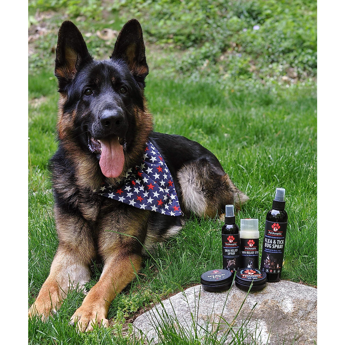 PetAseptic Skin Relief Spray for Dogs | Relieves Dry Itchy Skin, Hot Spots, Dandruff, Allergy Dermatitis, & Skin Rashes | Clear, Stainless, & Greaseless | Provides Fast, Temporary Relief | 4oz Spray