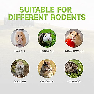 Hamster Toys Motorcycle Guinea Pig Toys Small Animal Toys for Dwarf Syrian Hamster Mice Mouse Gerbil Rat or Other Small Pets Green