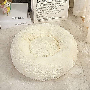 Gavenia Cat Beds for Indoor Cats,20’’x20’’ Washable Donut Cat and Dog Bed,Soft Plush Pet Cushion,Waterproof Bottom Fluffy Dog and Cat Calming and Self-Warming Bed for Sleep Improvement,White