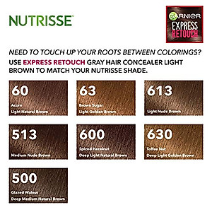 Garnier Hair Color Express Retouch Gray Hair Concealer, Instant Gray Coverage, Brown, 1 Count