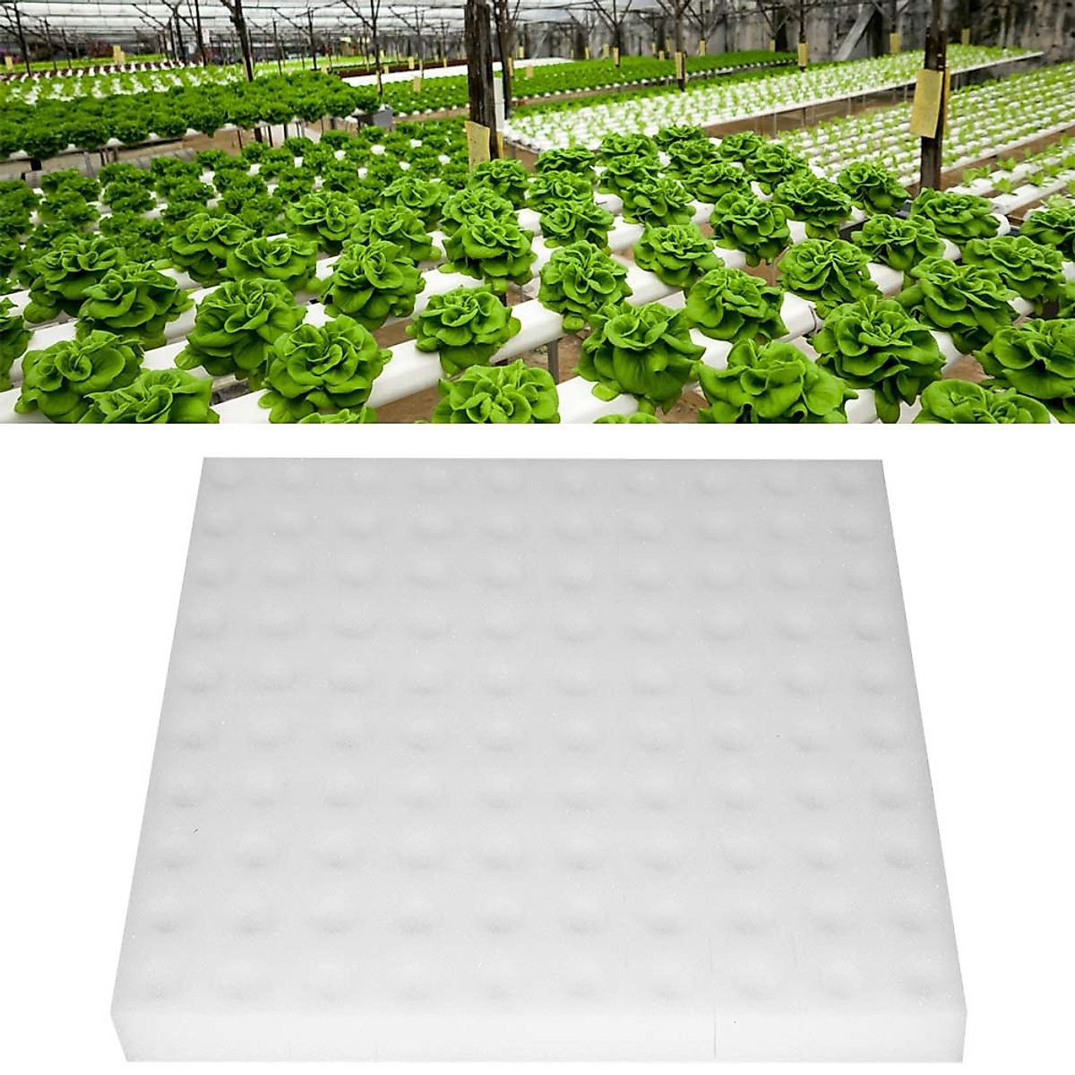 Fdit 100Pcs Hydroponic Sponge Planting Sponge Gardening Tool Seedling Sponges for Greenhouse