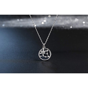 Presentski Pisces Constellation Zodiac Necklace Women Pendant Horoscope Sign Necklaces Birthday Jewelry for Daughter Sister