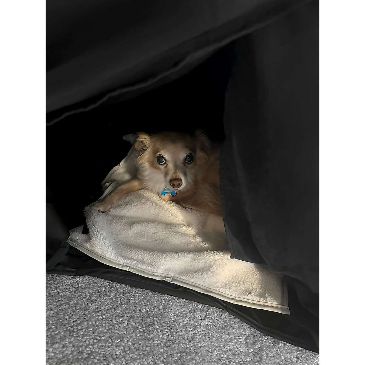The Original Patented Cozy Pet Bed: Calming Dog Bed & Cat Bed Den for Indoor Cats | Portable Pet Cave Bed & Tent for Small Dogs | Ideal Dog and Cat Tent Bed for Anxiety Relief and Comfort