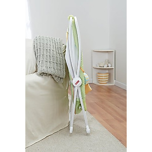 Fisher-Price Rock with Me Bassinet